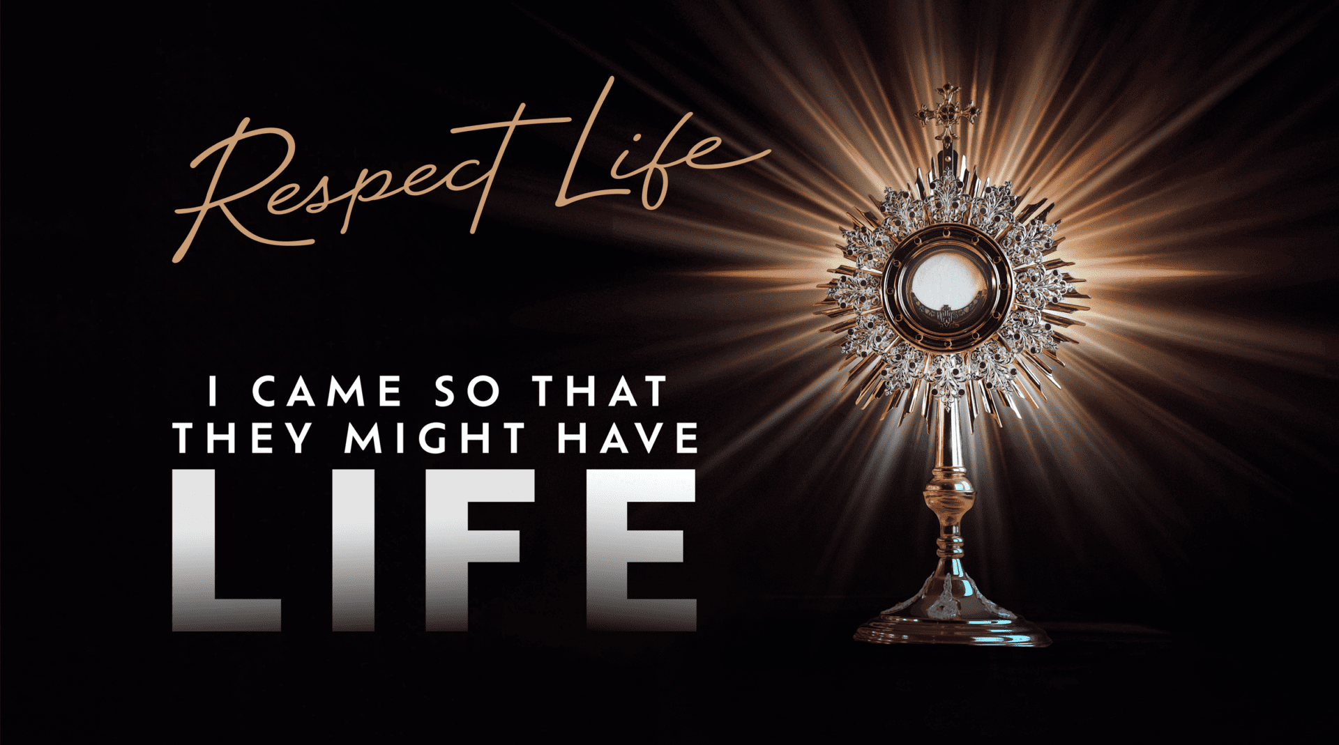 USCCB Respect Life Program - National Black Catholic Congress Website