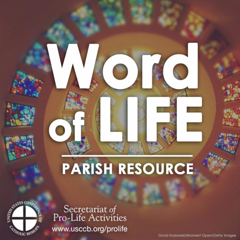 November 2025 WORD OF LIFE - National Black Catholic Congress Website